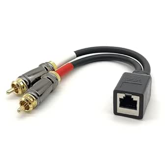 Amazon.com: GXMRHWY RJ45 Female to Dual RCA Male Adapter Cable 25CM ...