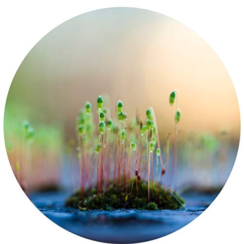 Amazon.com: Exploring The "Virtual Reality" Future of Work, Education ...