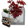 Amazon.com: 8" Decorative Craft Clear Glass Block by Mulia : Home & Kitchen