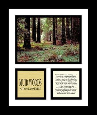 Best Pro Tour Memorabilia Wall Decors: Elevate Your Space with Sporting ...