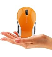 Amazon.com: Wired Mouse Cute Strawberry Small Computer Mouse for Laptop ...