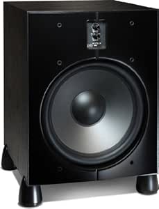 Amazon.com: PSB SubSeries 300 Subwoofer (Black) : Electronics