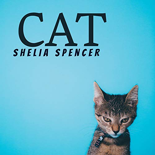 Amazon.com: Cat : Shaun Santos feat. Don Almir: Digital Music