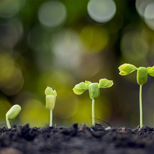 Amazon.co.jp: Get Here [Explicit] : High Stakes: Digital Music