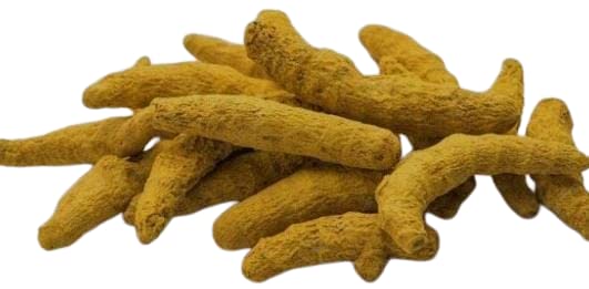 A1 Grade Haldi Ki Ganth,Raw Turmeric Yellow(11 Pc) For pooja,Vivah ...