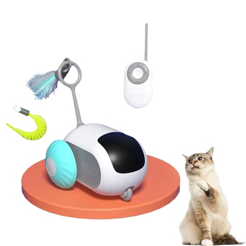 Remote Control Cat Toy – The 15 best products compared - Wild Explained