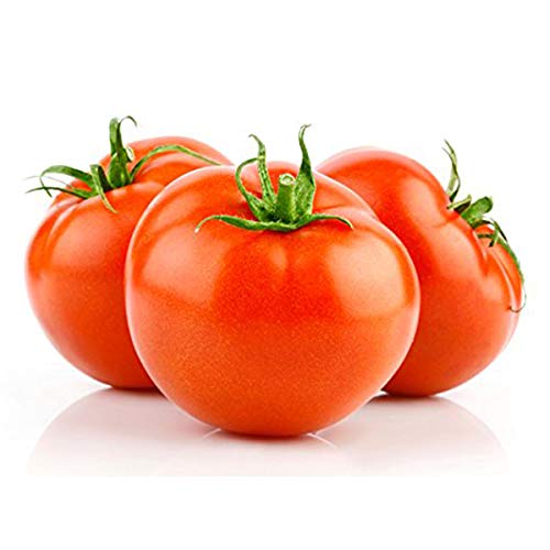 Triple Resistant Tomato F1 Hybrid "Arka Rakshak" 50 Seeds : Amazon.in ...