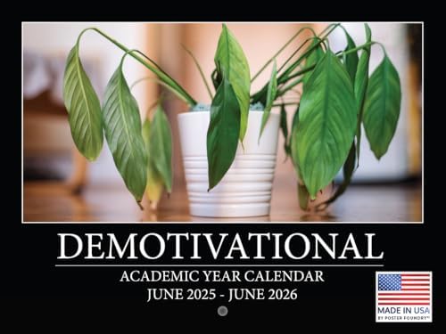 Amazon.com: Demotivational Calendar 2025-2026 Year 13 Month June to ...