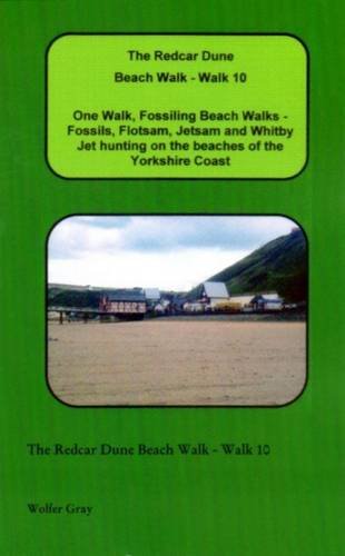 The Redcar Dune Beach Walk - Walk 10: One Walk, Fossiling Beach Walks ...