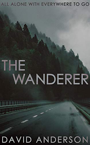 The Wanderer eBook : Anderson, David: Amazon.co.uk: Kindle Store