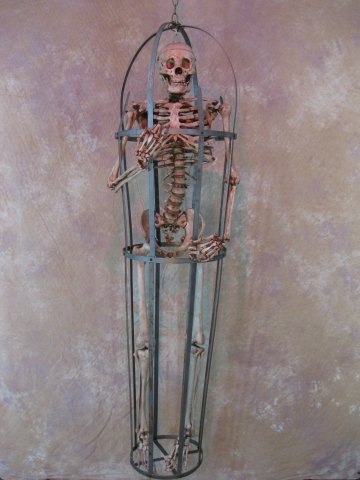 Amazon.com: Iron Skeleton Cage w/Life-Size Aged Skeleton : Toys & Games