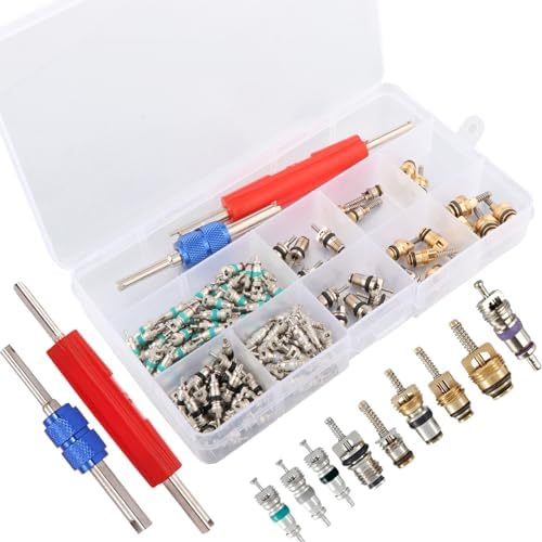 Amazon.com: 136Pcs AC Valve Core Kit, Universal Assorted Cores for R12 ...