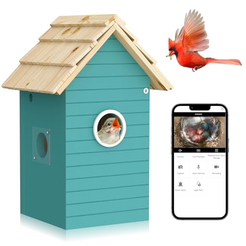 The best bird box camera | Digital Camera World