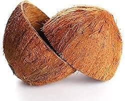 Coconut Shell of 1 kg : Amazon.in: Garden & Outdoors