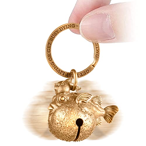 10 Must-Have Products for Your Pet Puffer Fish - A Complete Buying ...