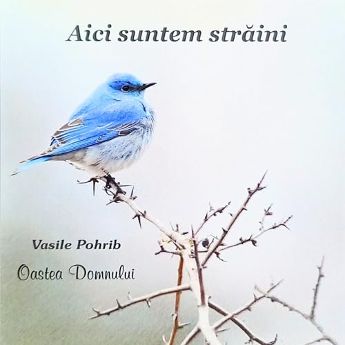 De ce să-mi fie oare teamă song by Oastea Domnului & Vasile Pohrib from ...