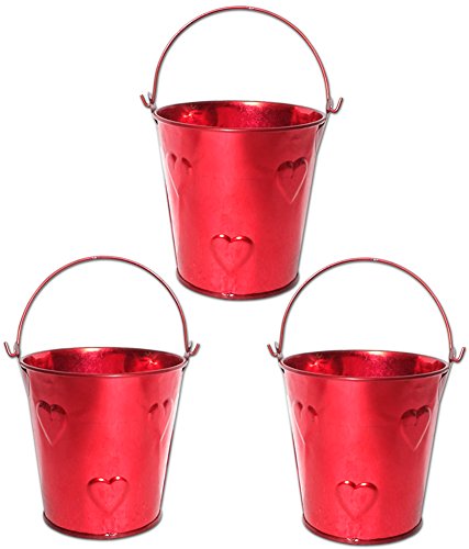 Super Drool Multi Utility Designer Tin Bucket - Set Of 3 : Amazon.in ...