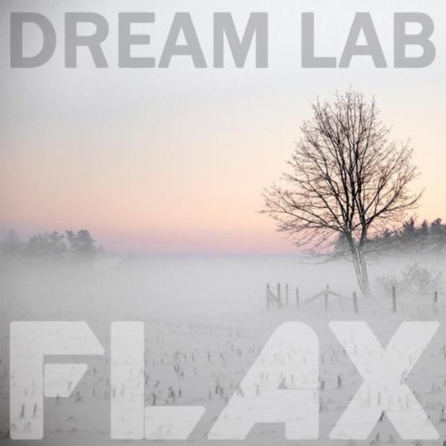 Amazon.com: Flax : Dream Lab: Digital Music