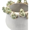 Amazon.com: Creative Co-Op Stoneware Frog Figurine Rim, Multicolor ...