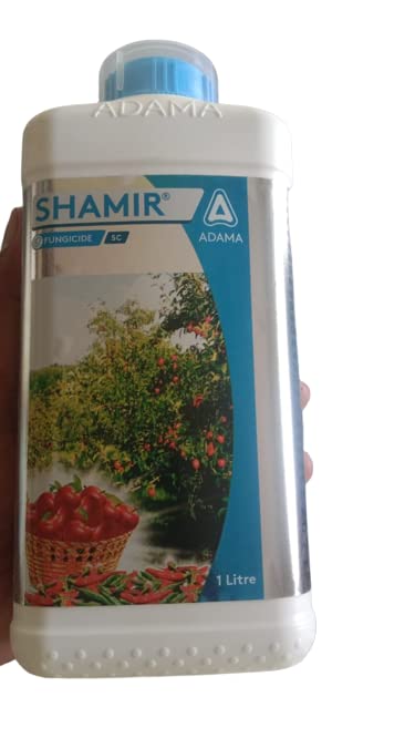 Shamir 1KG : Amazon.in: Health & Personal Care