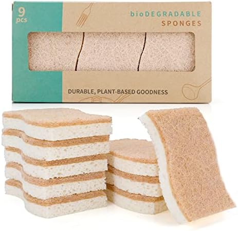 Amazon.com: Biodegradable Kitchen Sponges 12-Pack - Natural Coconut ...