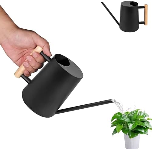Watering Can Indoor Plants, 1L Stainless Steel Small Watering Can ...