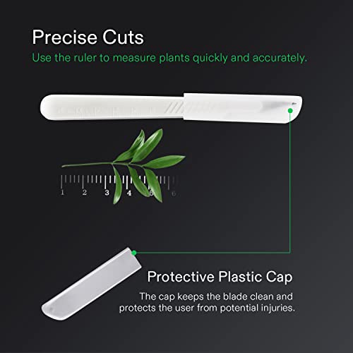 Ultimate Scalpel Guide for Blade Enthusiasts - Knife Buzz - Expert ...