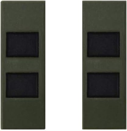 Amazon.com: Insignia Depot US Army Warrant Officer 2 Rank - CW2 ...