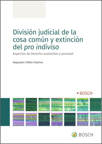 Amazon | División judicial de la cosa común y extinción del pro ...