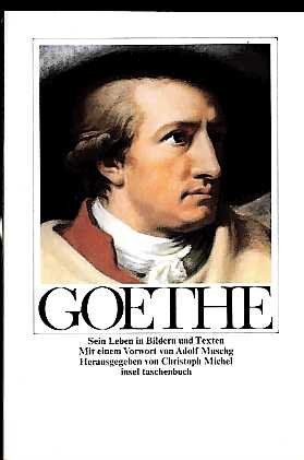 Goethe - Sein Leben in Bildern und Texten : Michel , Christoph: Amazon ...