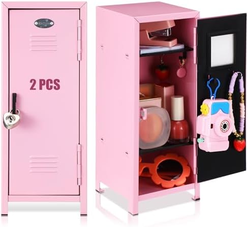 Amazon.com: Vercraft 2 Pcs Mini Metal Locker Storage with Lock and 2 ...
