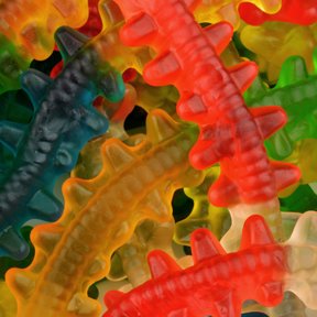 Amazon.com : Marini's Candies Gummy Centipedes : Grocery & Gourmet Food