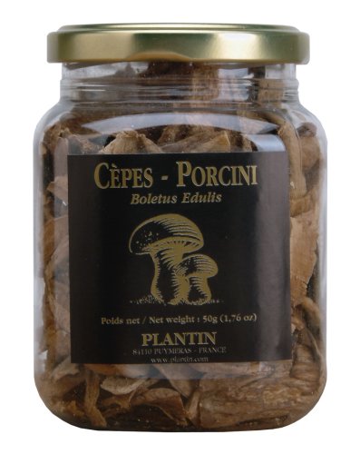 Amazon.com : Plantin Delices French imported Dry Porcini (Cepes ...