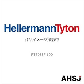 Amazon.co.jp: ヘラマンタイトン RT30SSF-100 (1袋): DIY・工具・ガーデン