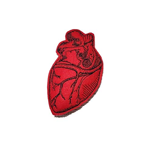 Amazon.com: Anatomical Heart Organic Catnip Cat Toy : Pet Supplies