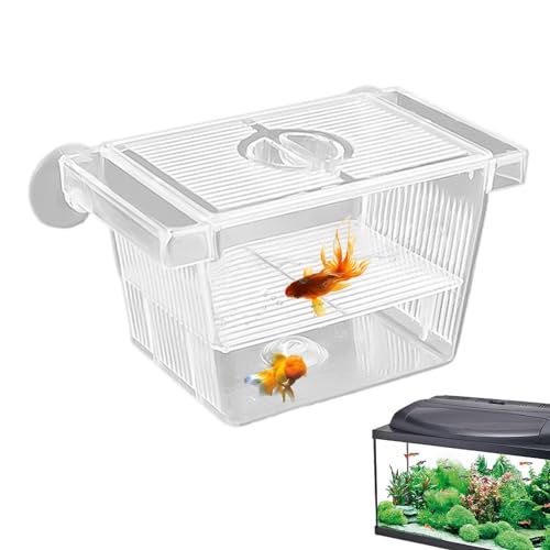 Amazon Best Sellers: Best Fish Breeding Tanks