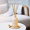Amazon.com: Benevolence LA Sunset Canopy Reed Diffuser | Patchouli & Ebony | Elegant Home ...
