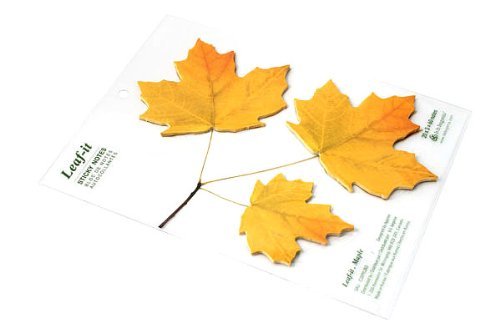 Appree - Large Autumn Leaf Sticky Note (Maple - Yellow) : Amazon.co.uk ...