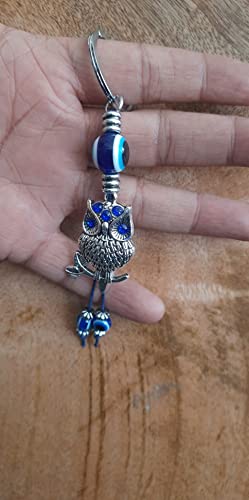 DT DECTONE Combo Pack of 2 Evil Eye Keychain Tortoise & fengshui Owl ...