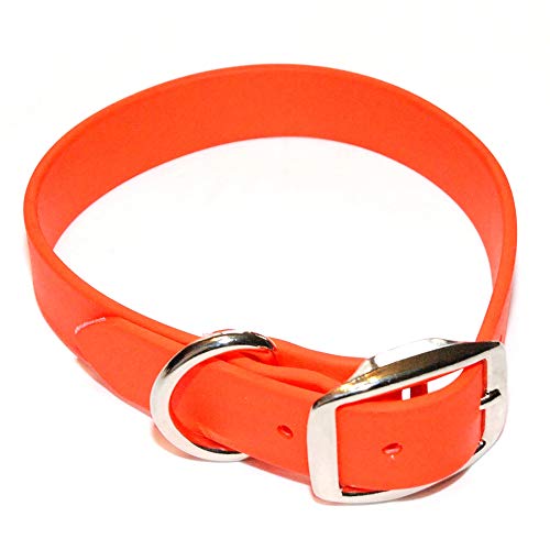 Orange Dog Collars – The 15 best products compared - Wild Explained