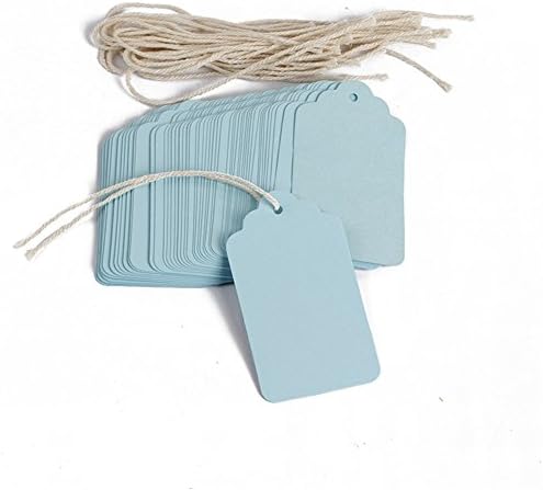 Amazon.com : Whaline 200Pcs Light Blue Gift Tags Blue Paper Tags Blank ...