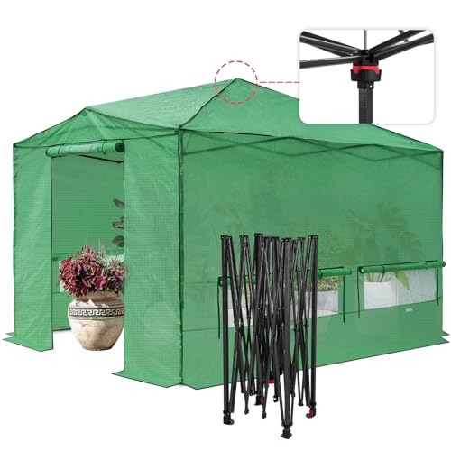 6 Best Greenhouse For High Windy Areas in 2023