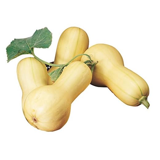 How to cook burpee squash - Metro Cooking Dallas