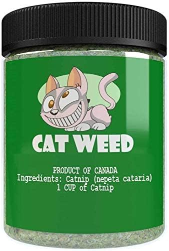 Amazon.com : Cat Weed Premium Catnip - All Natural - Maximum Potency Cat Nip - Sprinkle On Your ...