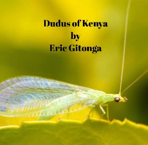 Dudus of Kenya: Eric Gitonga: 9781034325246: Amazon.com: Books