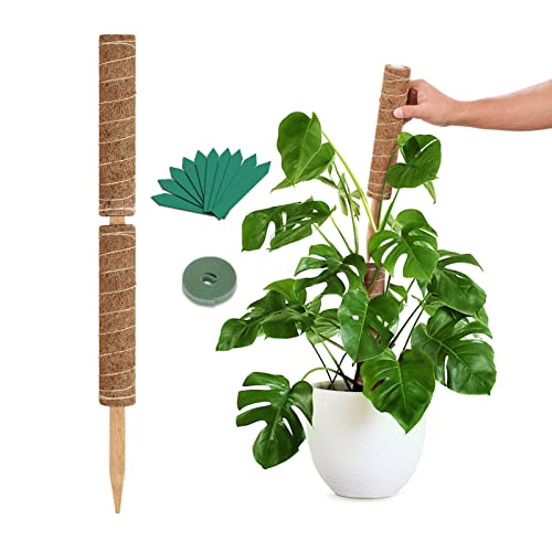 Emerson Grey Designs's Amazon Page