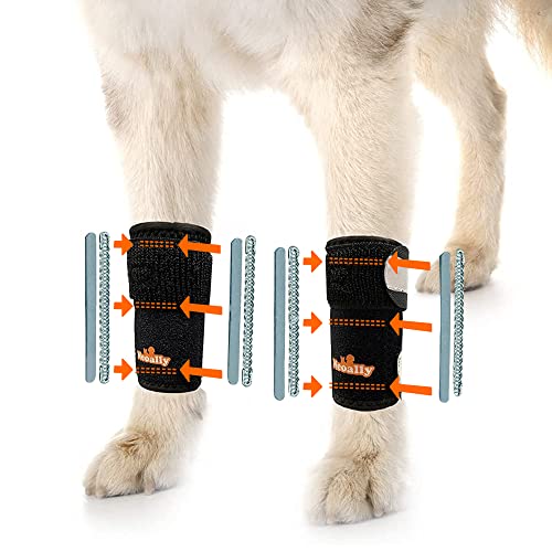 Knuckling In Dogs – The 15 best products compared - Wild Explained