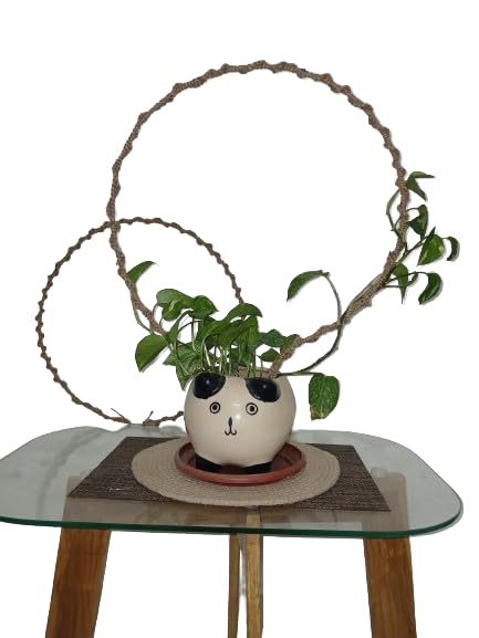 Set of 2 Money Plant Holder, Support Climbers and Creepers, Flexible ...