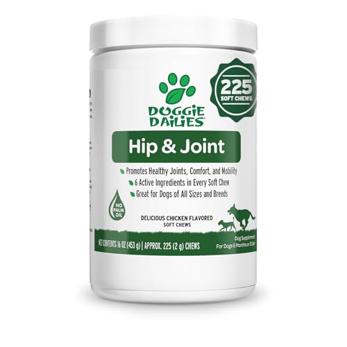 10 Best Joint Supplements For Dogs 2024 - I Love Veterinary