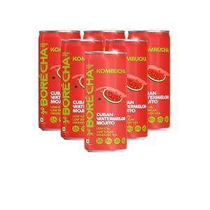 Borécha Probiotic Kombucha 330ml x 6 | Unpasteurized | Natural ...